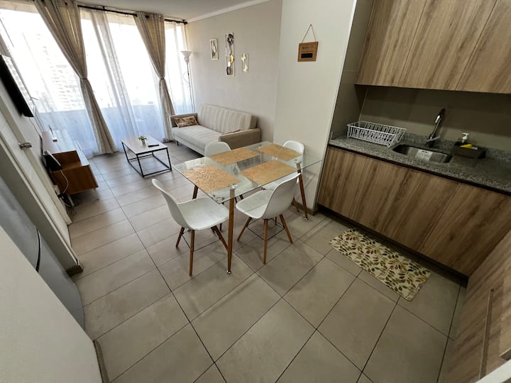 Bello Depto. En Privilegiada Zona De Santiago - La Cisterna