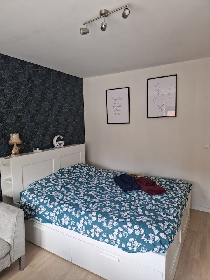 Kamer Vlak Buiten Centrum Gent - Gante