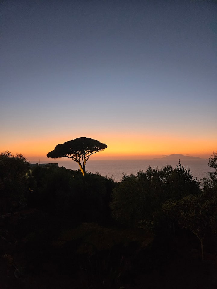 La Depandance: Fantastic Sea View Apartment - Anacapri