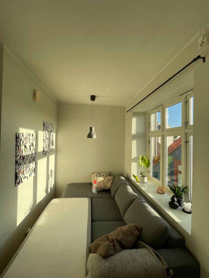 Leilighet Ved Historiske Bryggen 3 Meter Takhøyde - Bergen, Norway