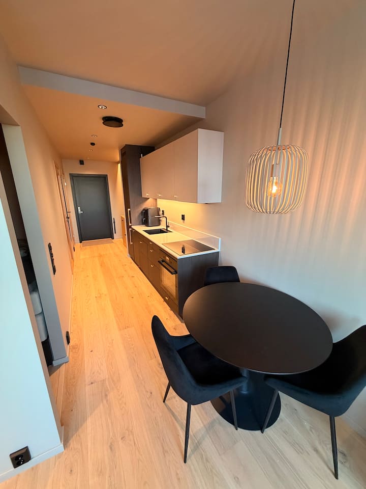 Moderne Leilighet På Solsiden - Trondheim