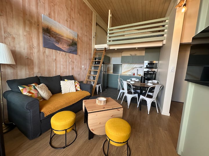 T3 + Mezzanine Au Pied De La Dune, 300m De L'océan - Seignosse