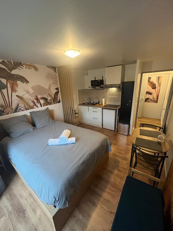 L'abaca - Confort - Proche Gare - Arras