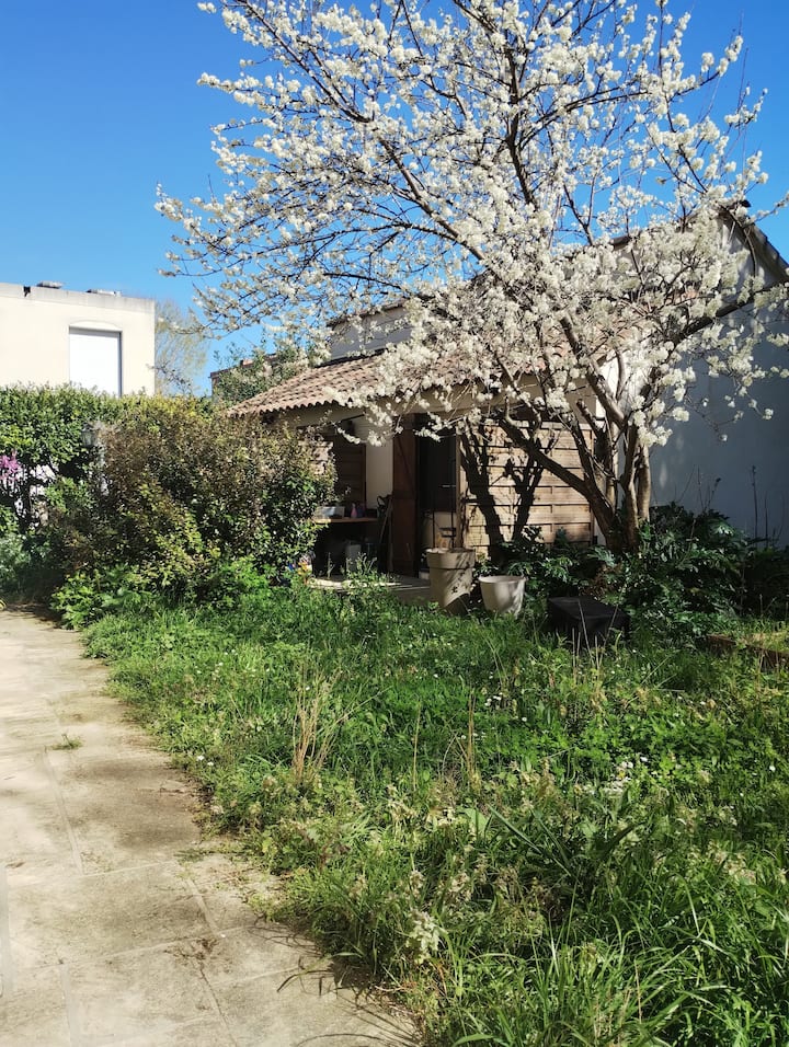 La Chrysalide - Montpellier