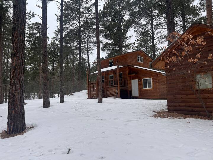 Canyon View Cabin - Sturgis, SD