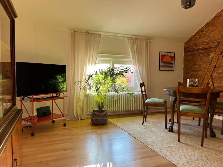 Helle 2-zi-wohnung In Wiesbaden – Zentral & Ruhig - Sonnenberg