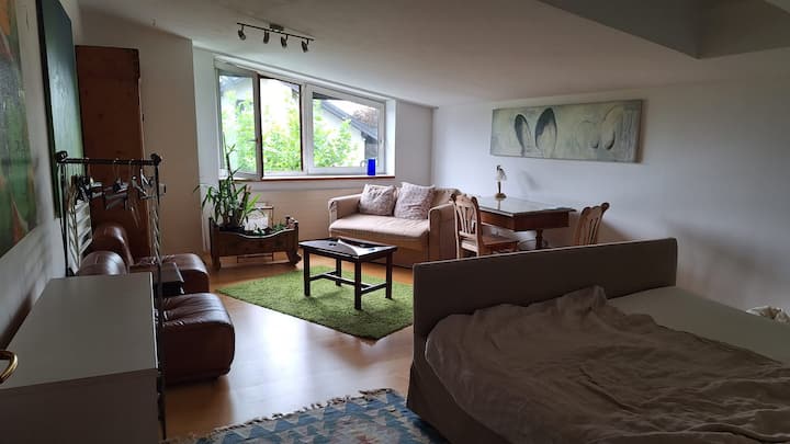 Ruhige Absteige In Villa Rosa - Salzburg