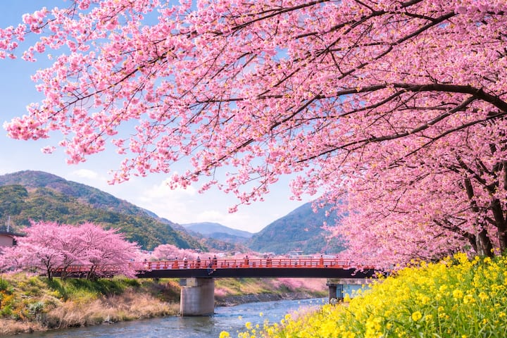 Atami/hakone40m;kawazu&kawaguchiko80m;free Parking - Giappone