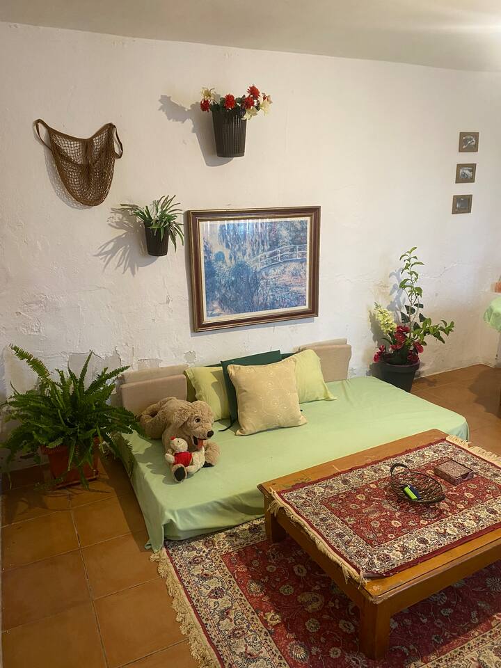 Casa Rural Centro Aloja - Loja