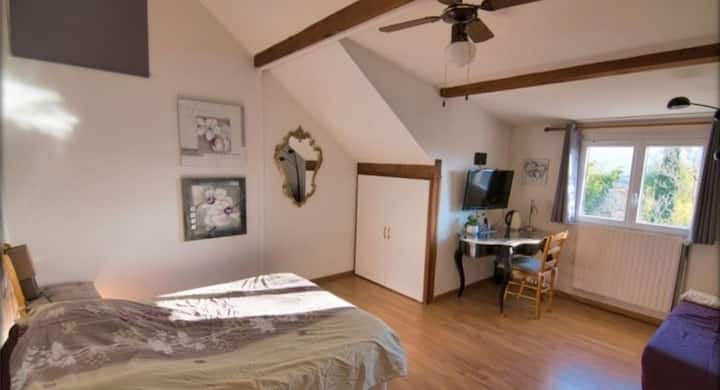Chambre Privative - Gex