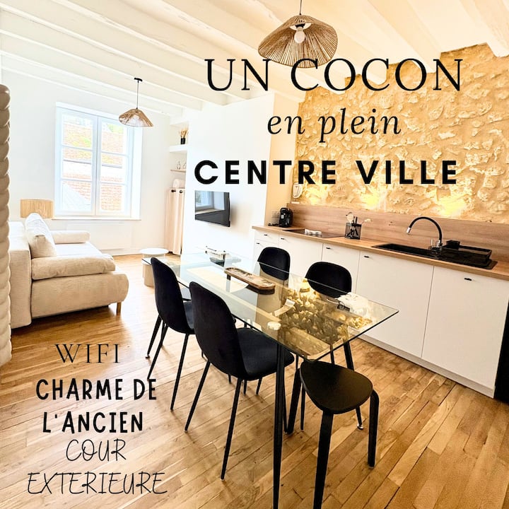 Le Cocon Saint Denis - Amboise