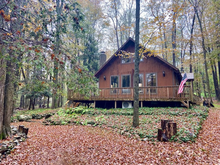 Pop's Cabin - Pocono Mountains, PA