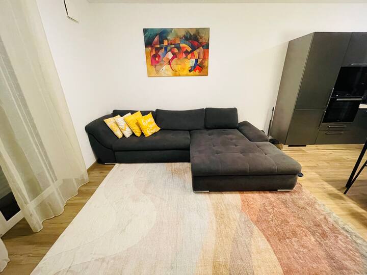Luxury Furnished Apartment - 美因茲