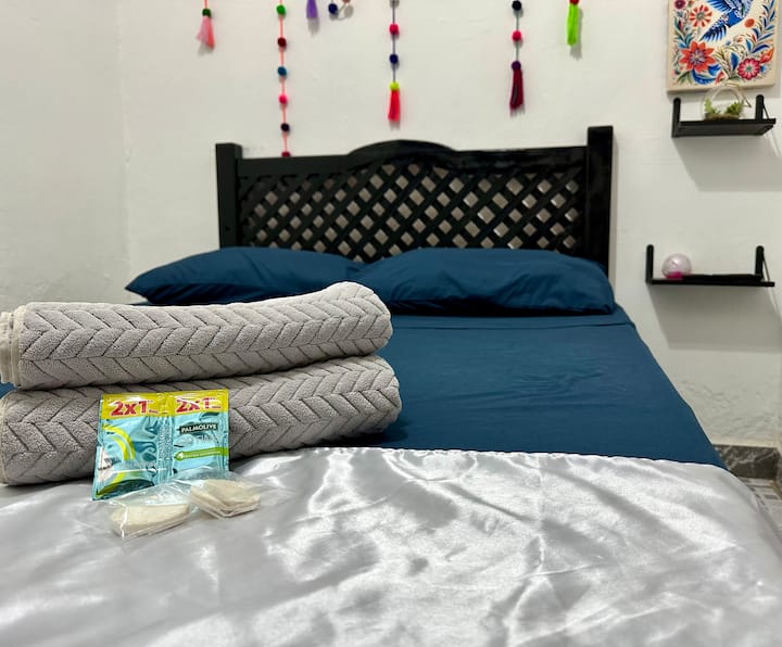 Casa Completa, Dos Cuadras De Mar Centro Histórico - Puerto Vallarta