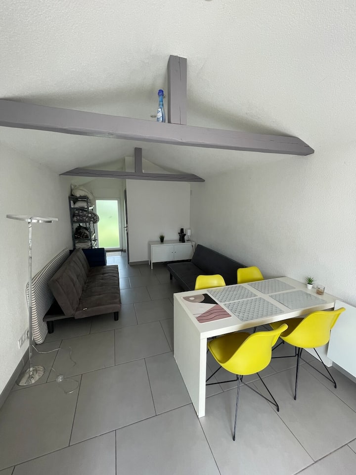 Le Loft Alsacien - Eguisheim