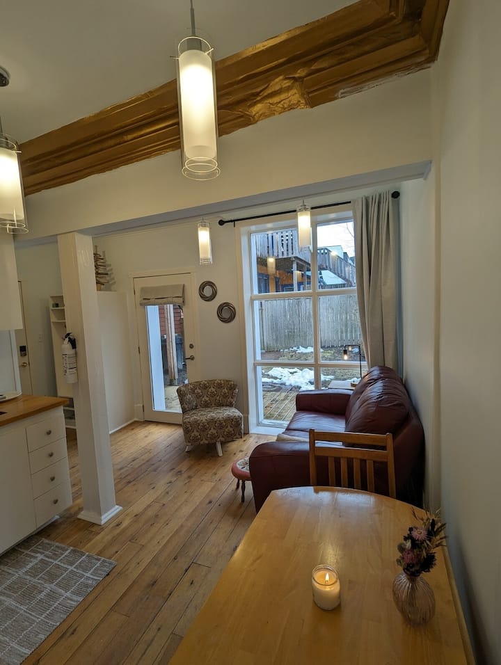 Cute 1 Br | City Centre | Patio - New Brunswick
