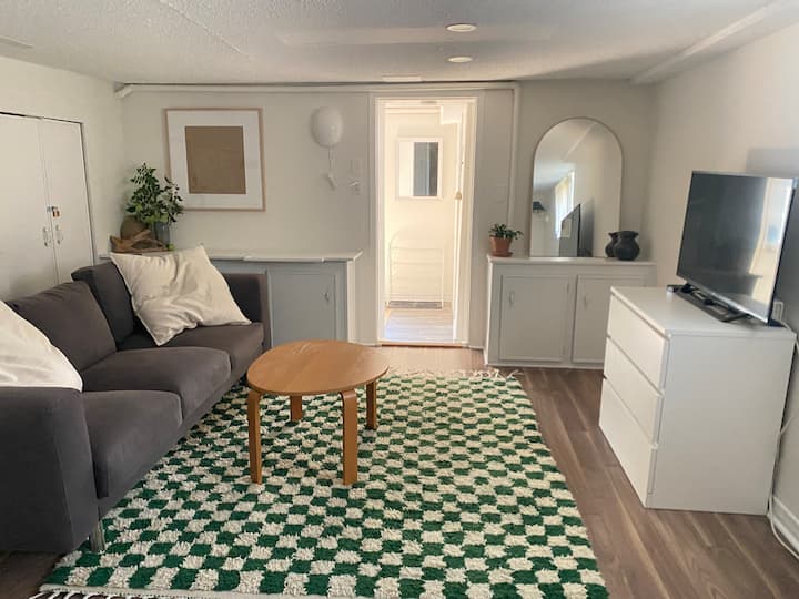 Junction Triangle Guest Suite - Toronto