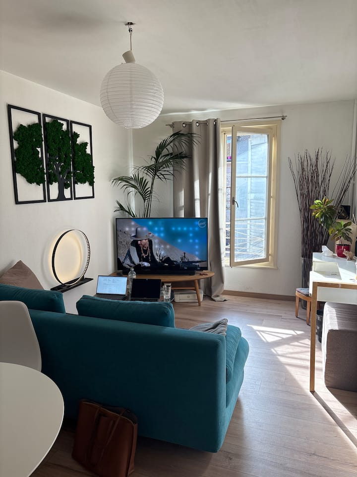 Charmant 3 Pièces – Cœur De Carouge - Ginebra