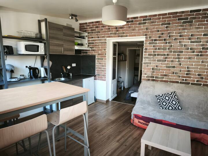 Séjour Pro Ou Détente T1 Calme - Aurillac