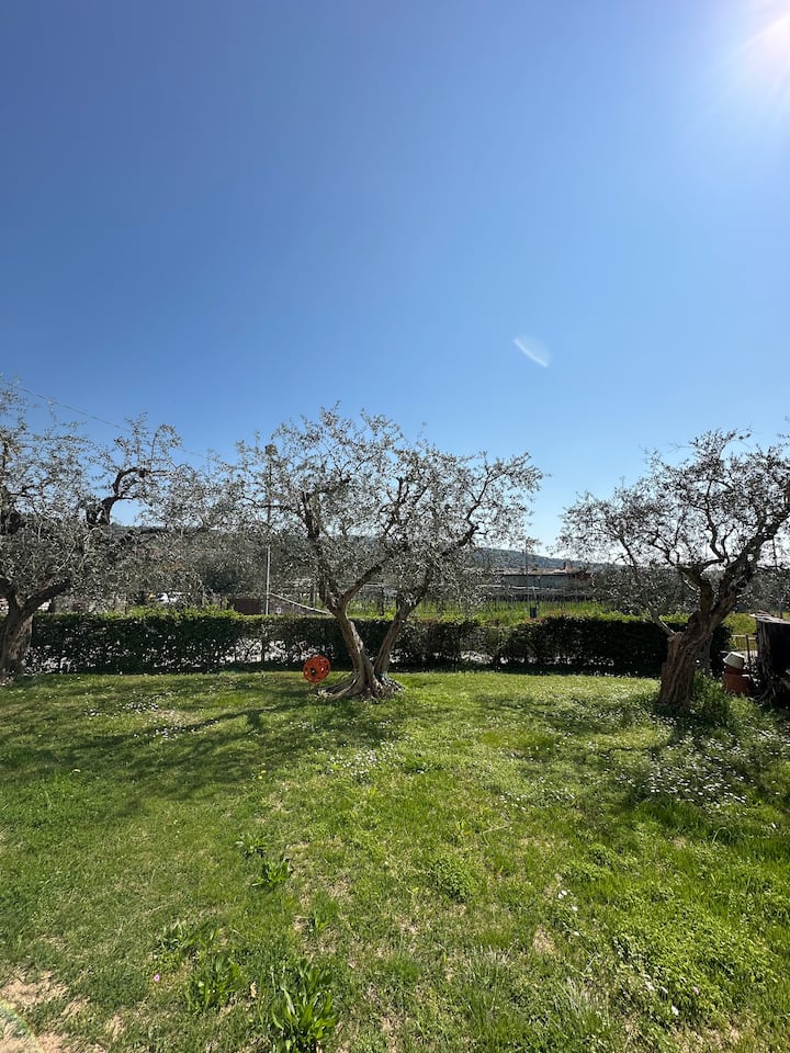 Appartamento Con Giardino, A 10 Minuti Dal Centro - Bardolino