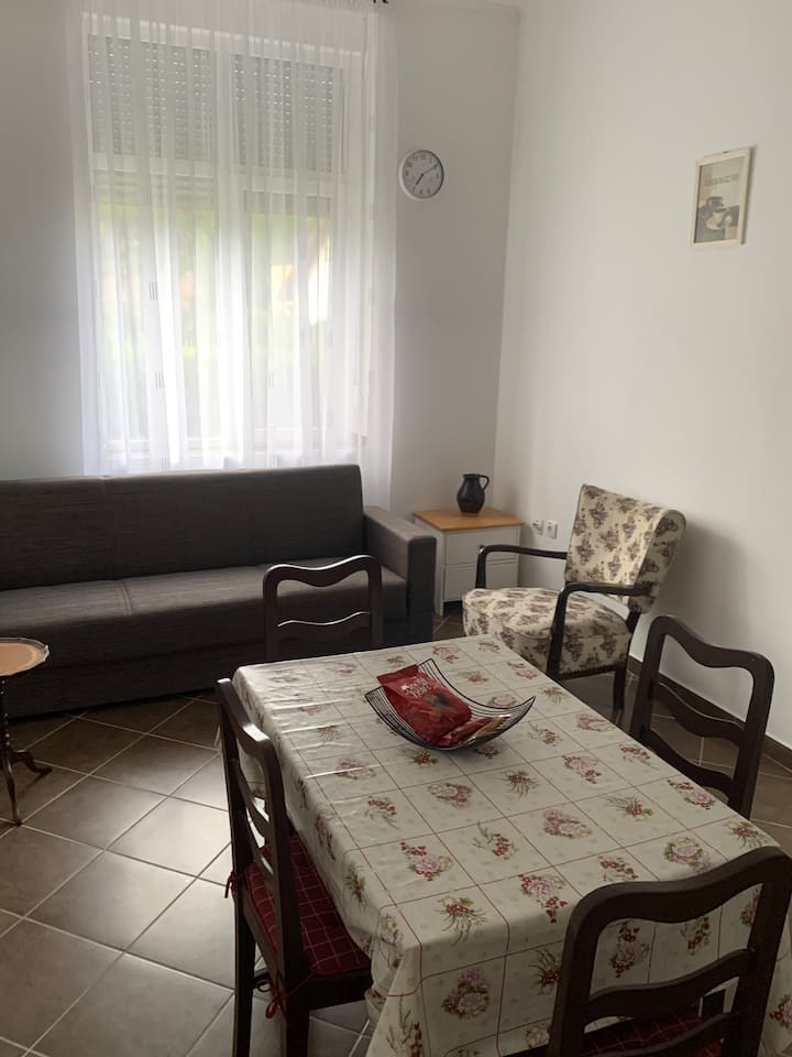 Platan I Apartment - Subotica