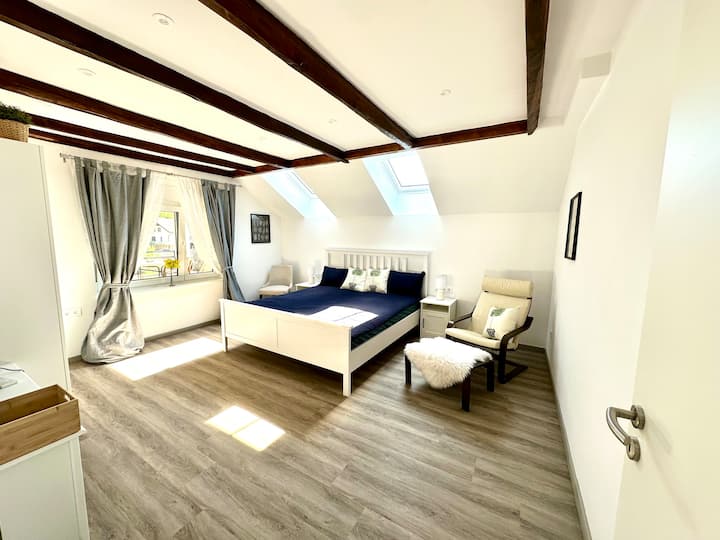 Large Room With A Beautiful View - Ljubljana