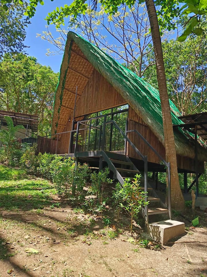 Casa Consolacion(campode Laiya) - Laiya