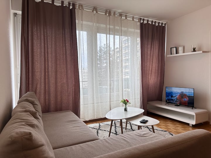 Agréable / Studio - Appartement - Geneva
