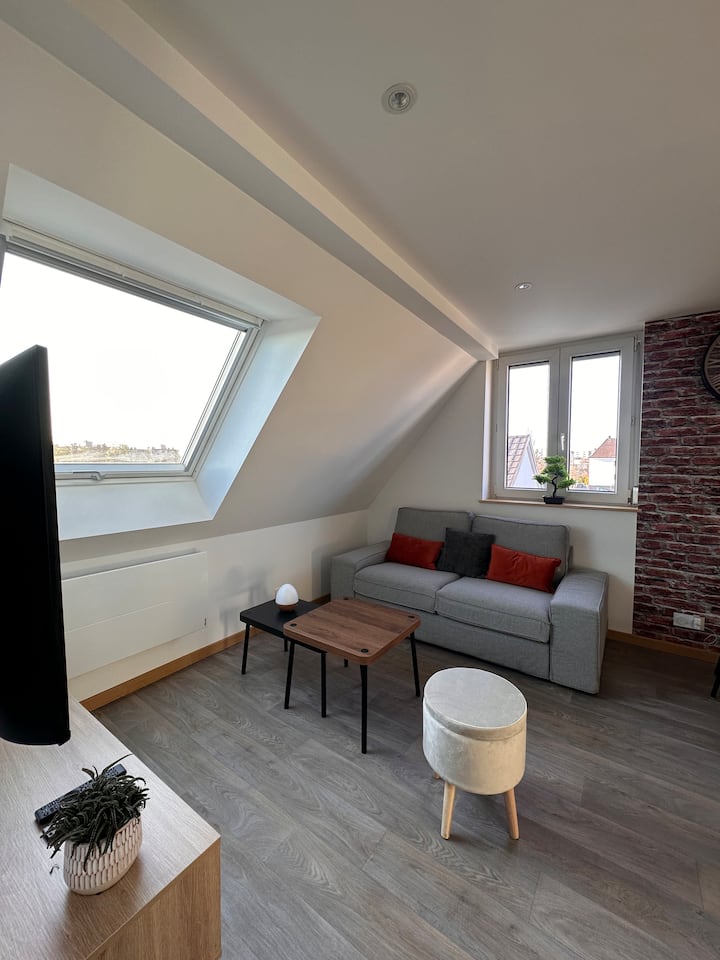 Le 9 De Fer - Colmar