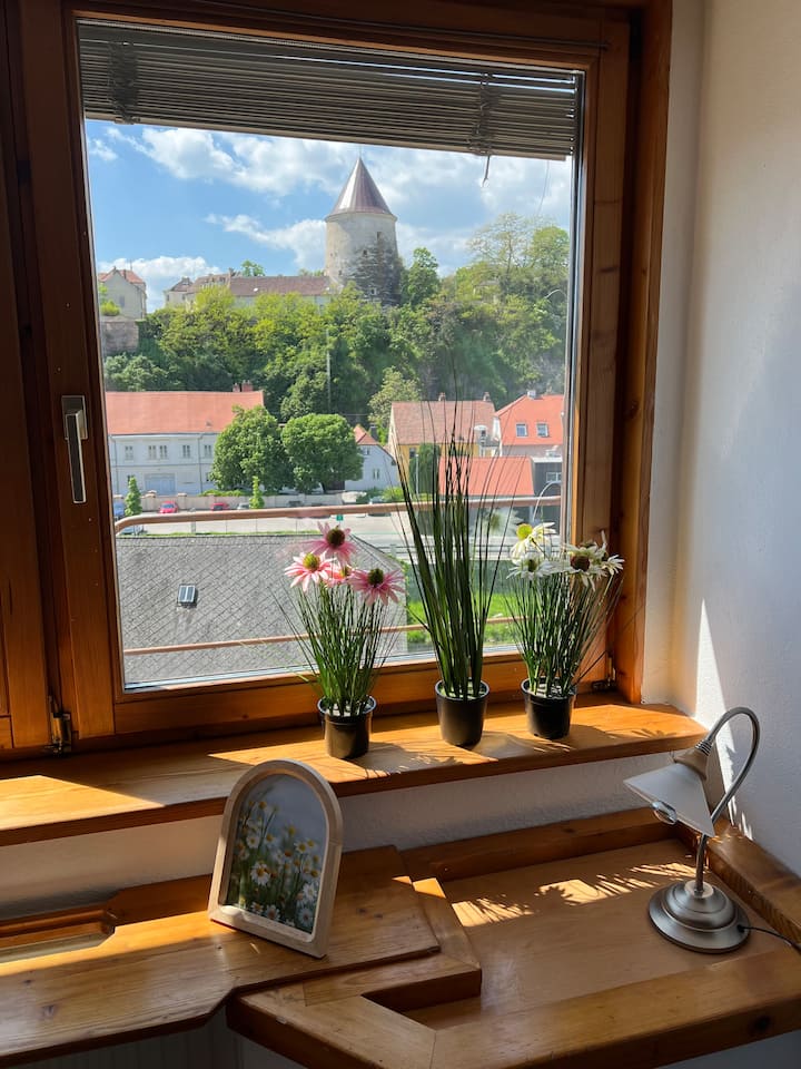 Krems Altstadt | 2 Schlafzimmer | 100m2 | Garage - Krems an der Donau