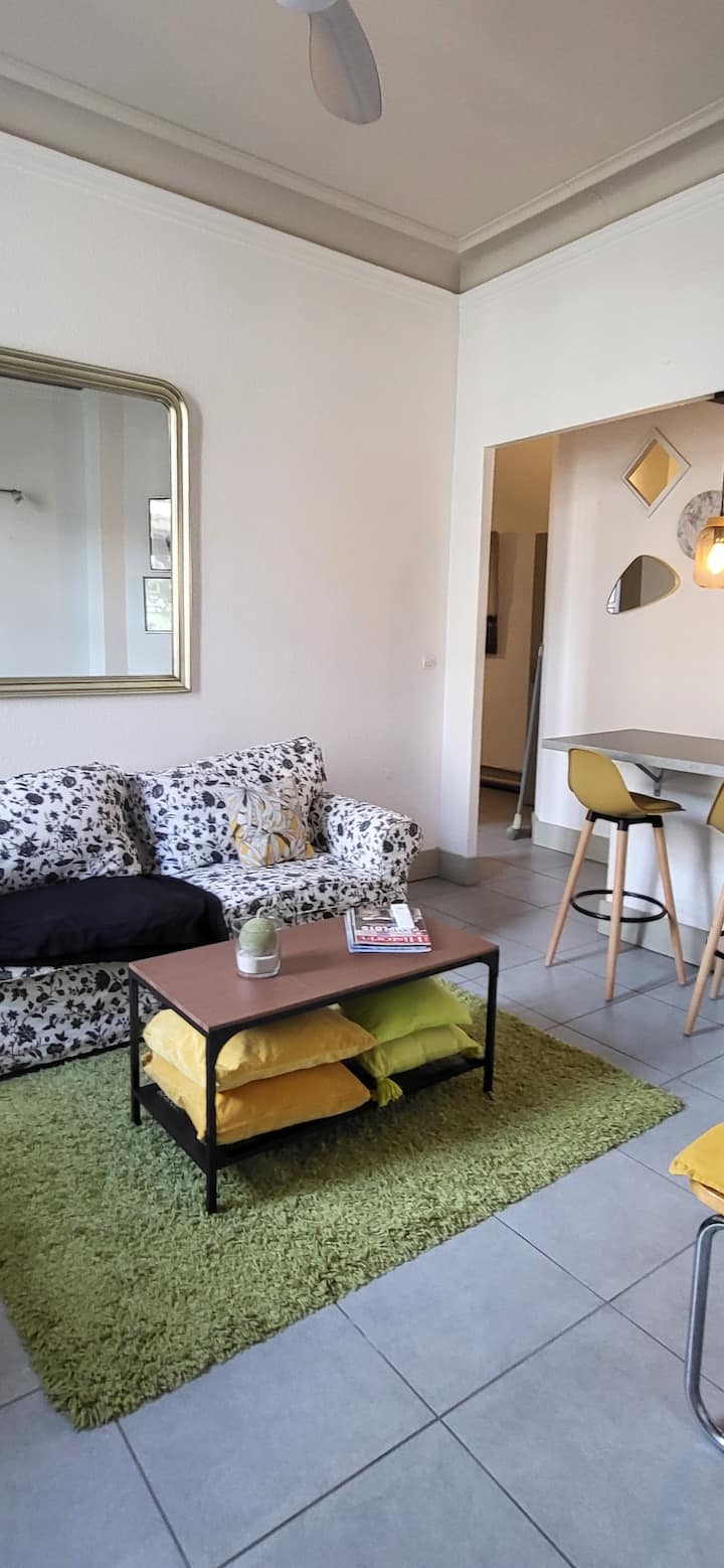 Appartement F3 Meublé, Plein Cœur De Ville! - Montpellier