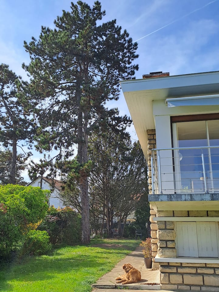 Hermoso Estudio Al Borde Sena - Chatou