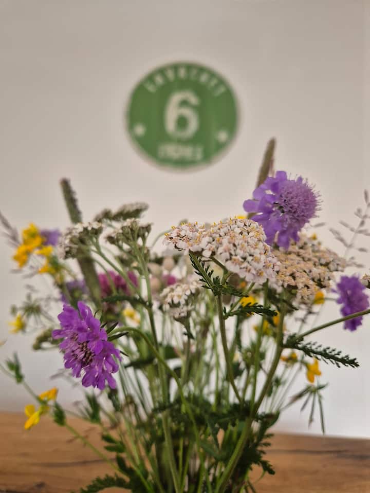 Charmant Appartement 2 Ch. Au Frais - Lac de la Sassière