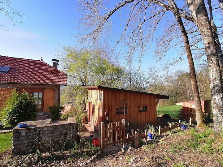 Cabane En Forêt - Rumilly