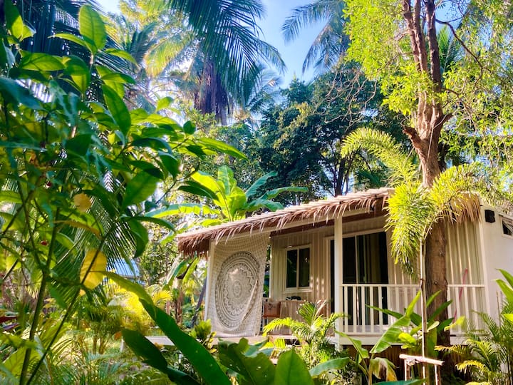 Bungalow Jungle
« Secret Palm » - Ko Pha Ngan
