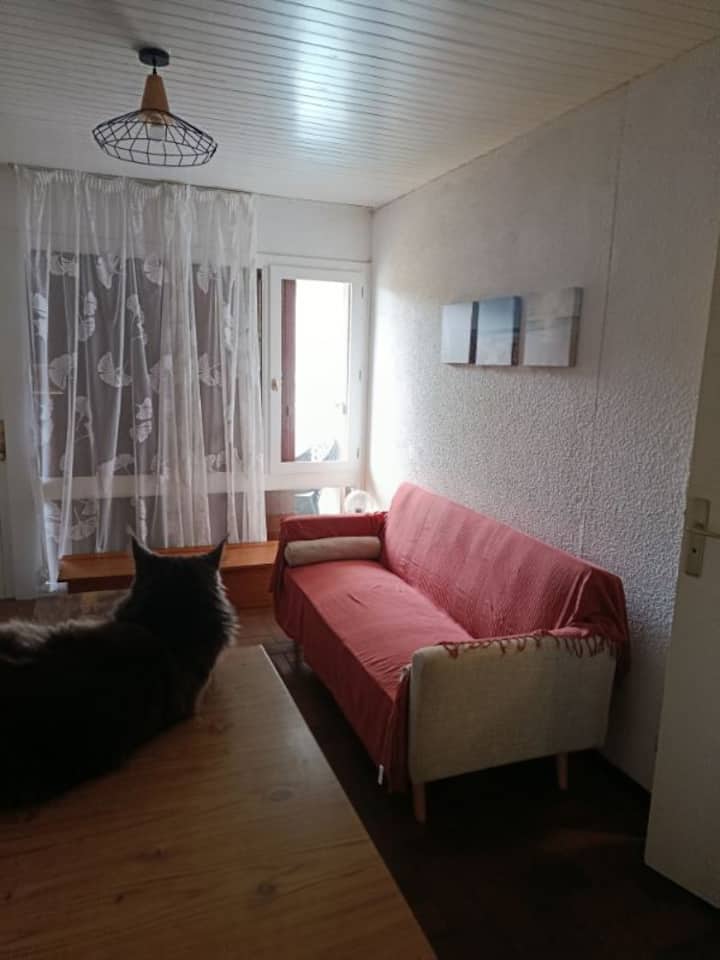 Location Appartement Plain Pied T3 - Lit-et-Mixe