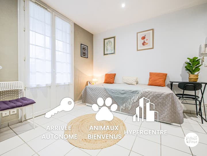 Le Jack : Studio, Hypercentre, Balcon, Petfriendly - Tours