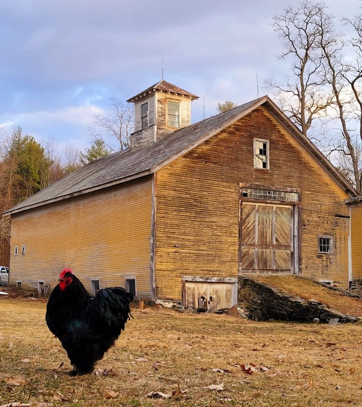 Farmhouse - Brattleboro, VT