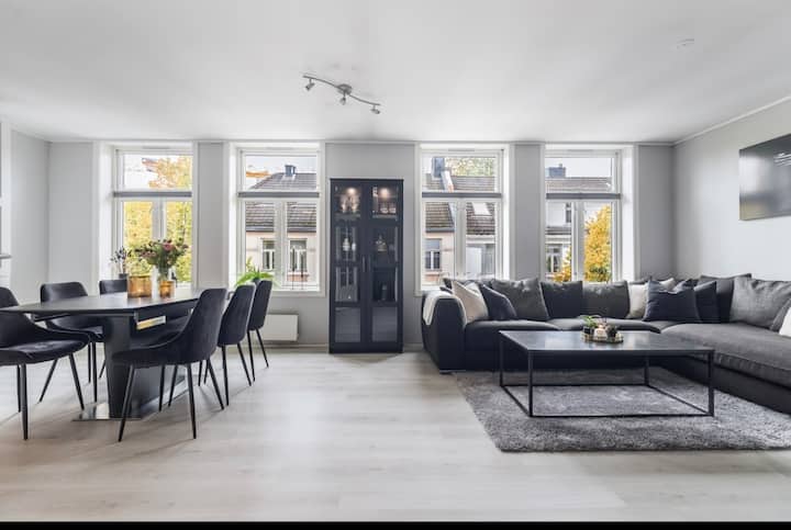 Modern And Big Apartment - Trondheim
