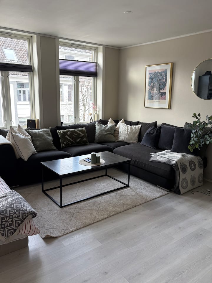Modern And Big Apartment - Trondheim