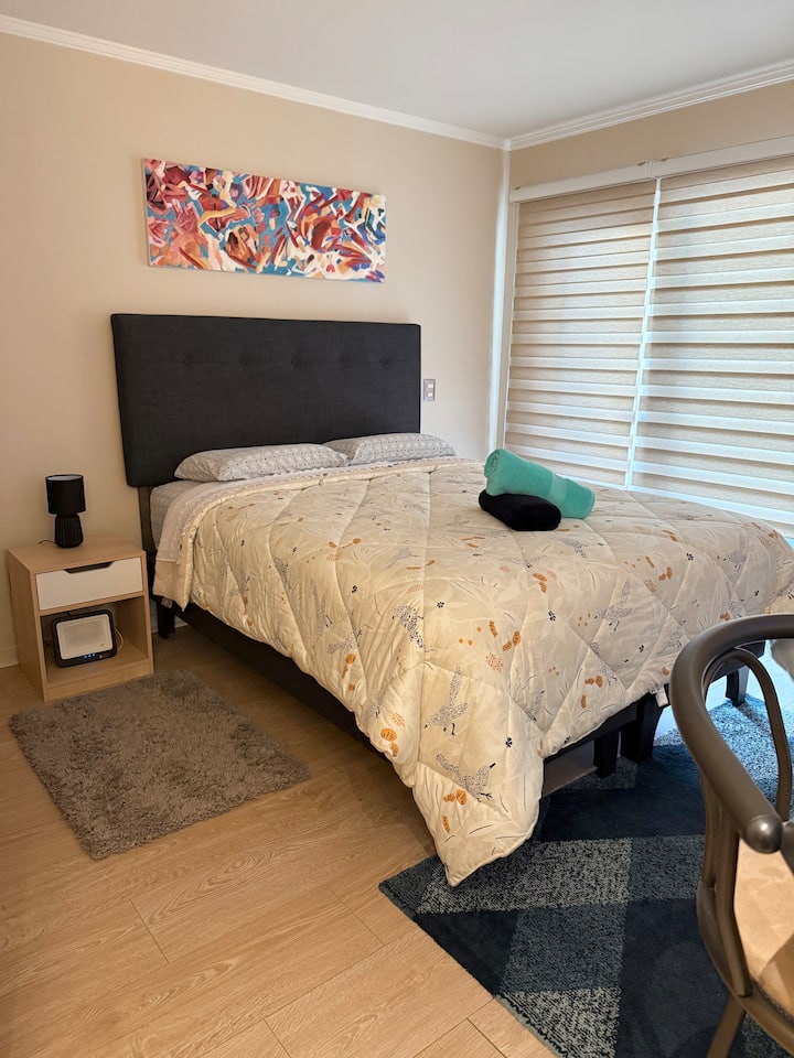 Departamento Estudio En Temuco Centro - Temuco