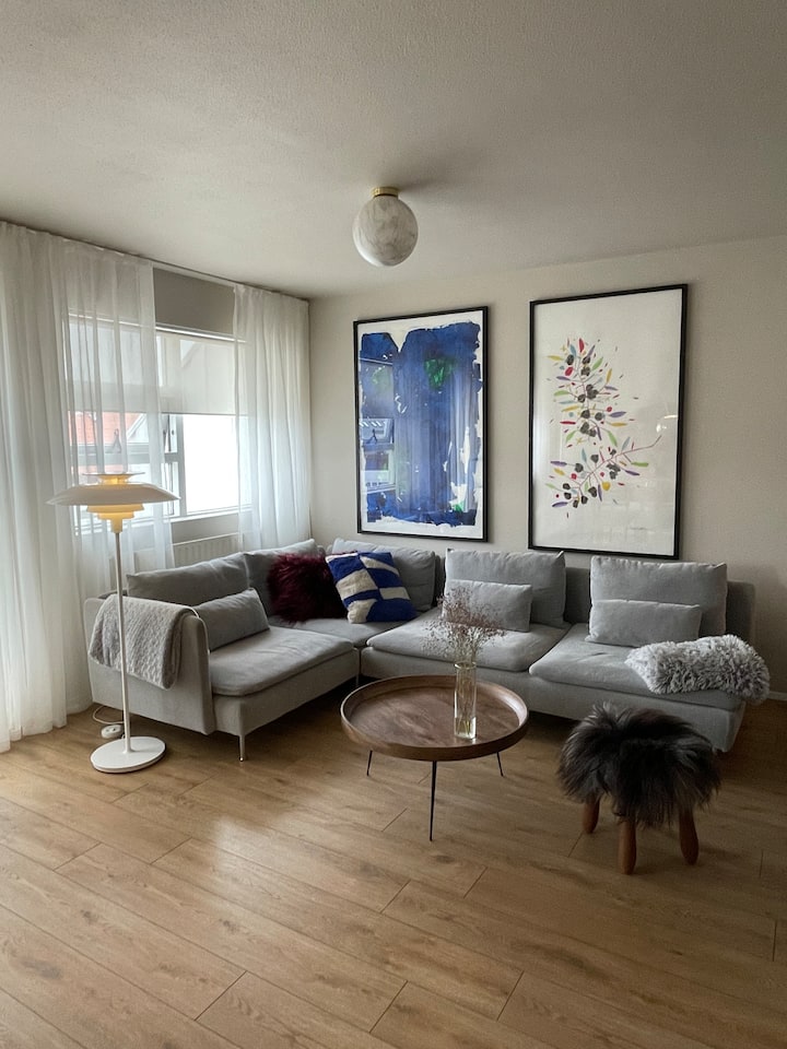 A Group Haven In 112 Reykjavík - Islande