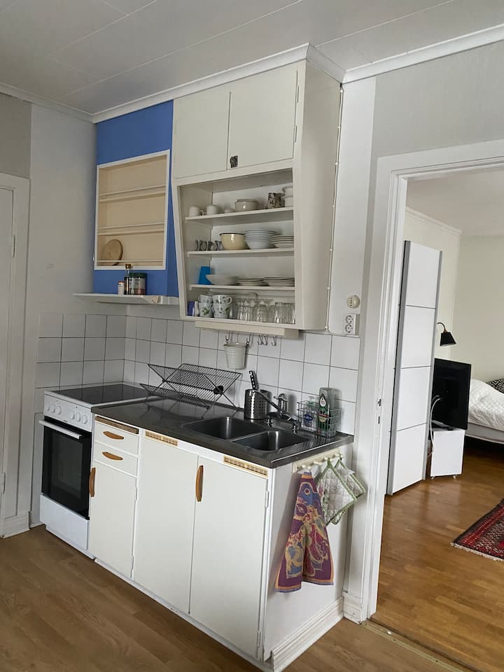 Lägenhet I Villa, Centralt Läge - Halmstad