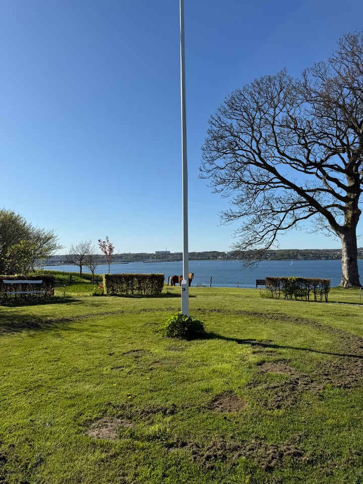 Bondegård Med Havudsigt - Kolding