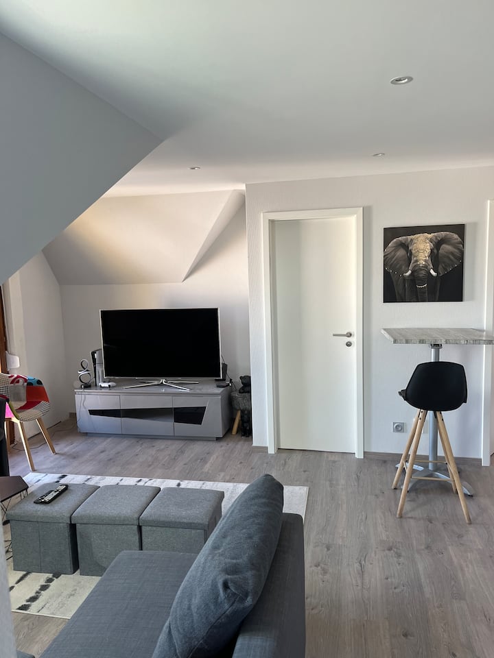 Appartement Neuf Près De Colmar - Marckolsheim
