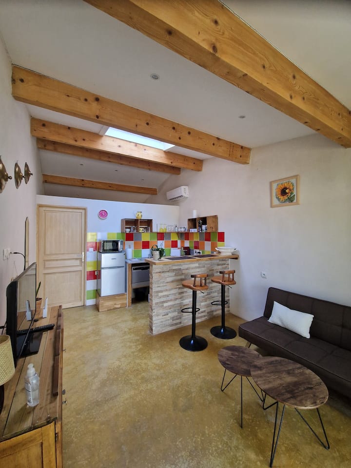 Charmant Appartement 35 M2 - Vias