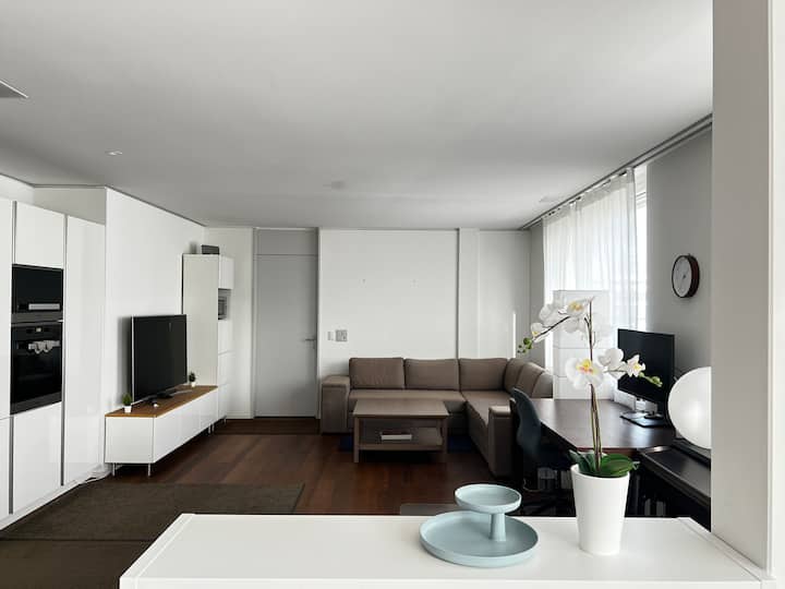 Modern Home With Two Workspaces, Balcony & Piano - Zurique
