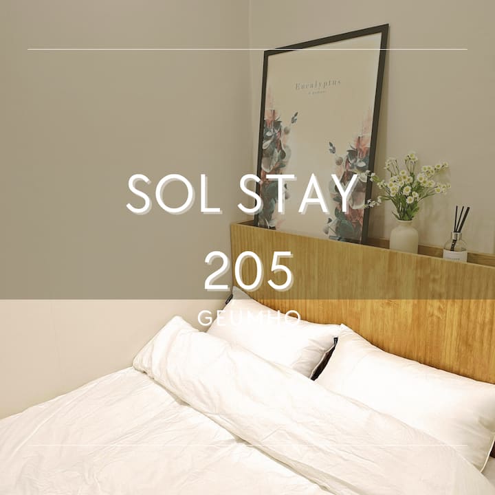 Sol Stay 205[1인실]전용욕실•공항버스도보1분•#성수#이태원#압구정 - Seoul