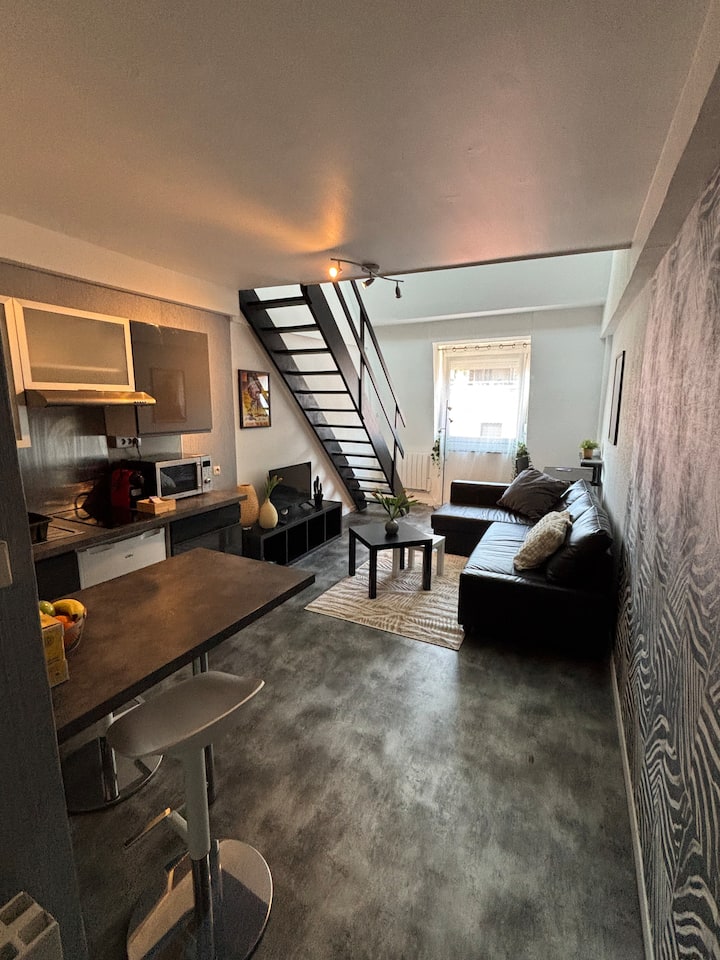 Charmant Duplex Vieux-lille. - Lille