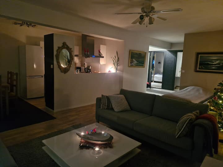 Tilava Ja Valoisa Asunto Keskustassa - Haparanda